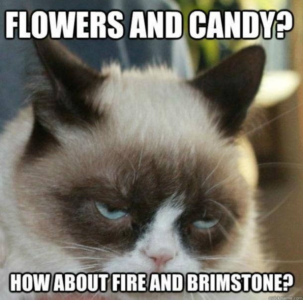 21 Best Grumpy Cat Memes And Funny Quotes About Love And Life Yourtango